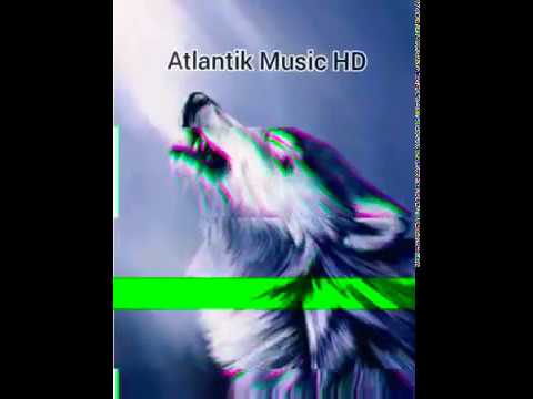 DÖYÜŞ MAHNISI #HAMNIN AXTARDIĞI MAHNI #BOZ QURD