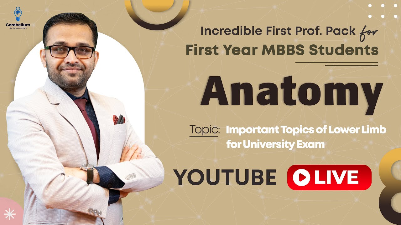 incredible-first-prof-pack-important-topics-of-the-lower-limb-by-dr