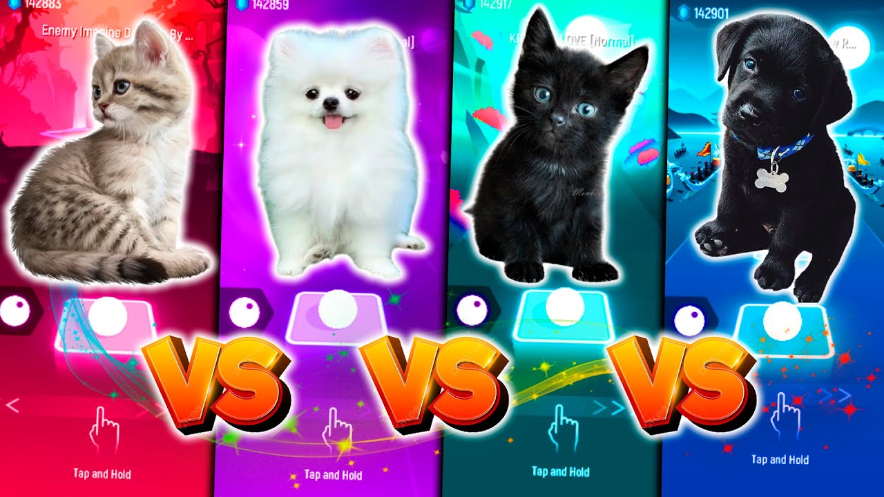 CUTE CAT VS CUTE DOG ENEMY VS CUTE CAT KILL THIS LOVE VS CUTE DOG NEW ...