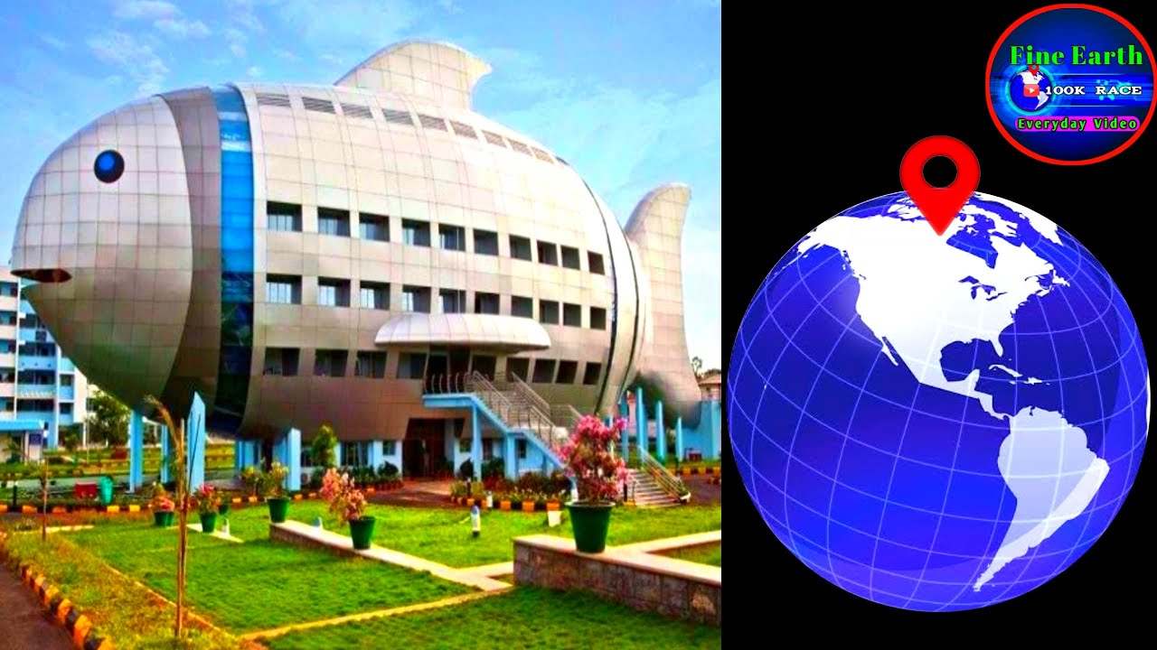 Giant Fish 🐟 Building on Google Earth - YouTube