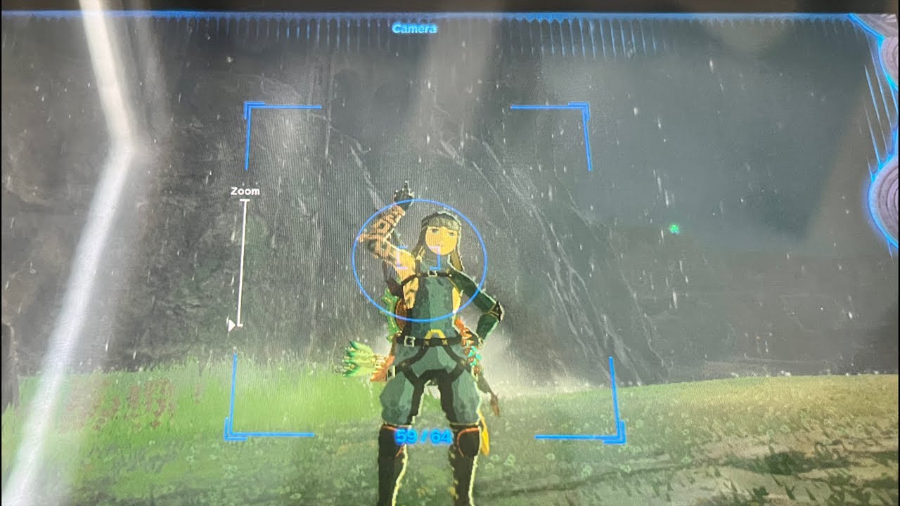 Picture day in Hyrule with froggy man 54 🐸 - YouTube