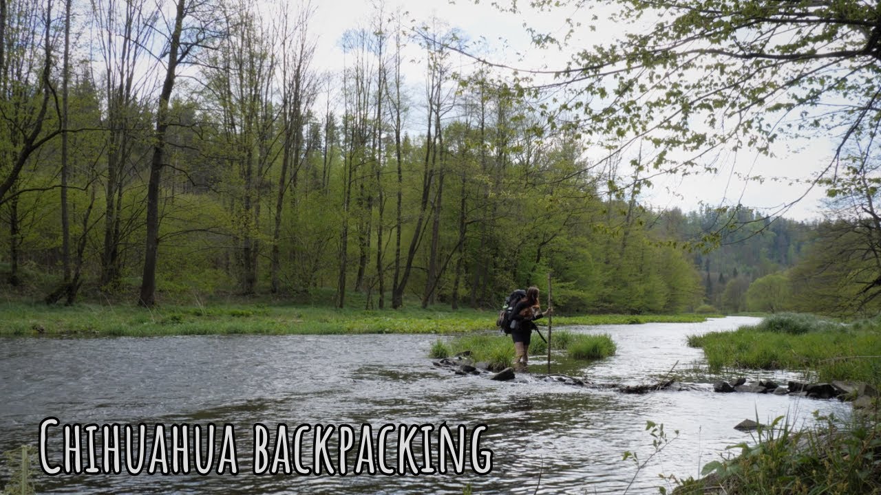 2 Day Backpacking Trip With a Chihuahua at the Moravice River Park ...