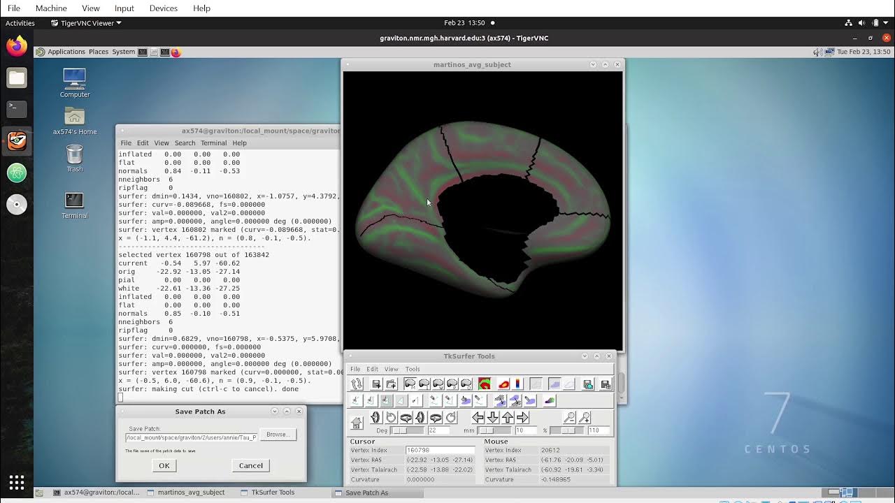 Freesurfer cortical flat patch tutorial - YouTube
