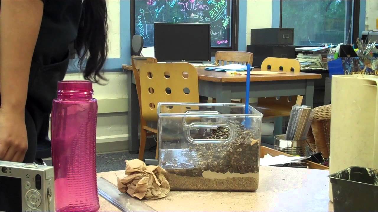 Lizbeth building aquifer model - YouTube