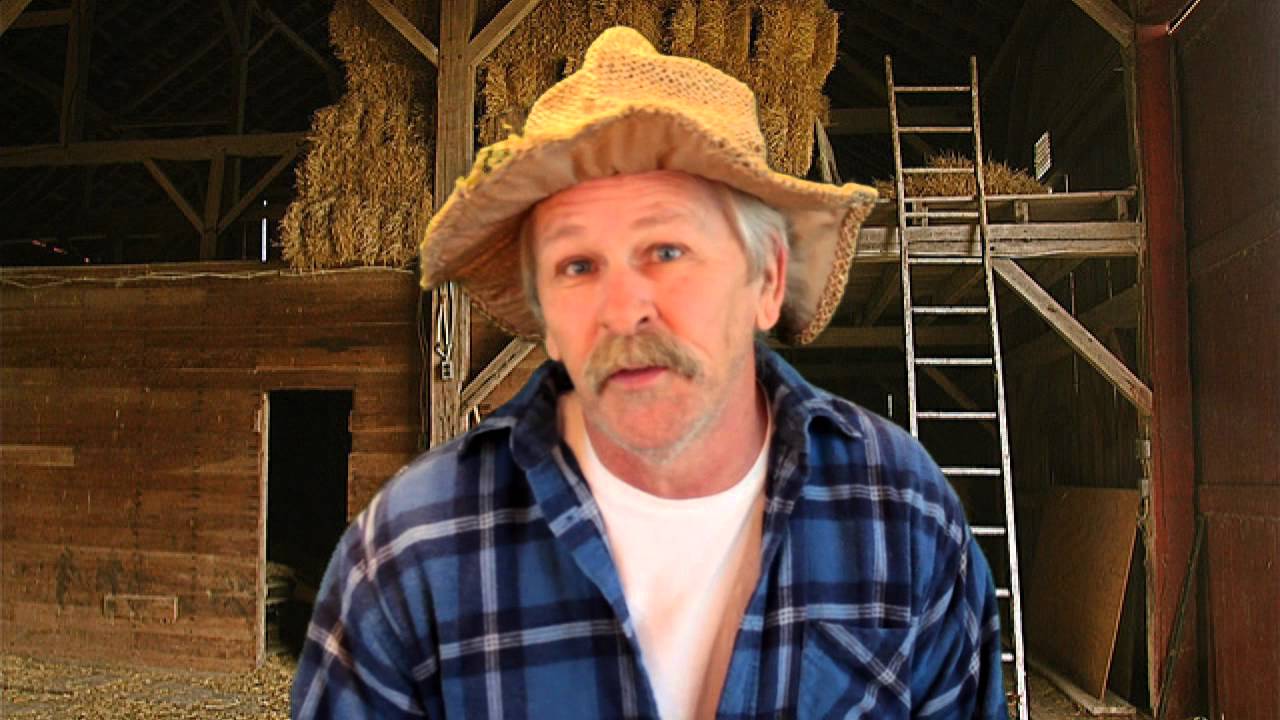 The Stupidest Song Ever YouTube the-stupidest-song-ever-youtube