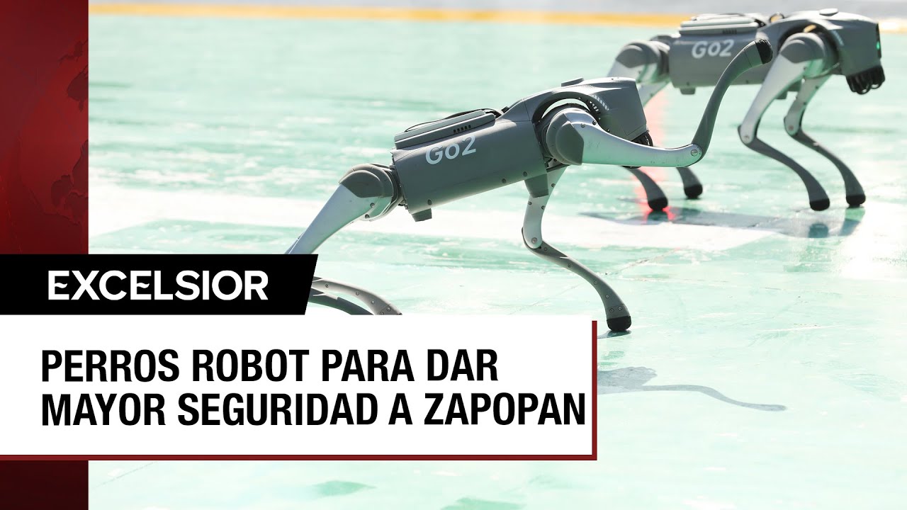 Policía de Zapopan suma perros robot para reforzar seguridad - YouTube