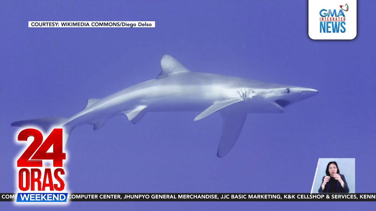 Isdang inanod sa dalampasigan ng Agusan del Norte, inakalang blue ...