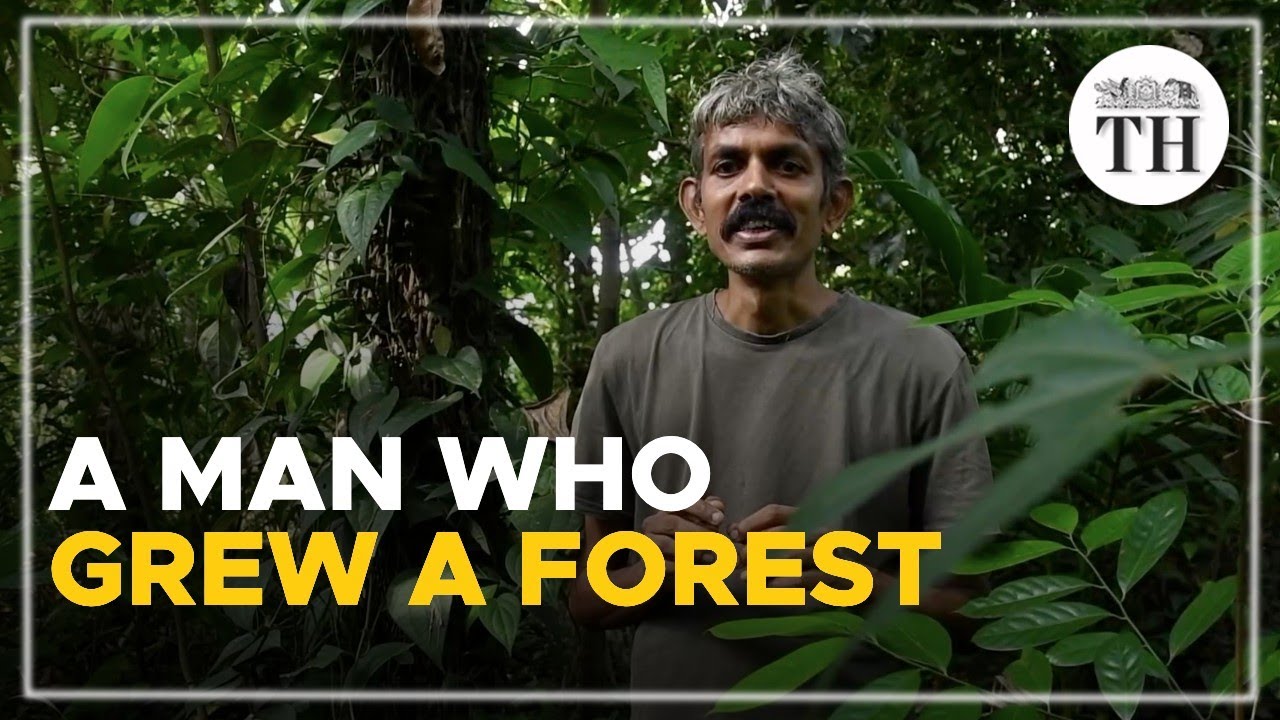 This man from Kerala grew a mini-forest on his land - YouTube