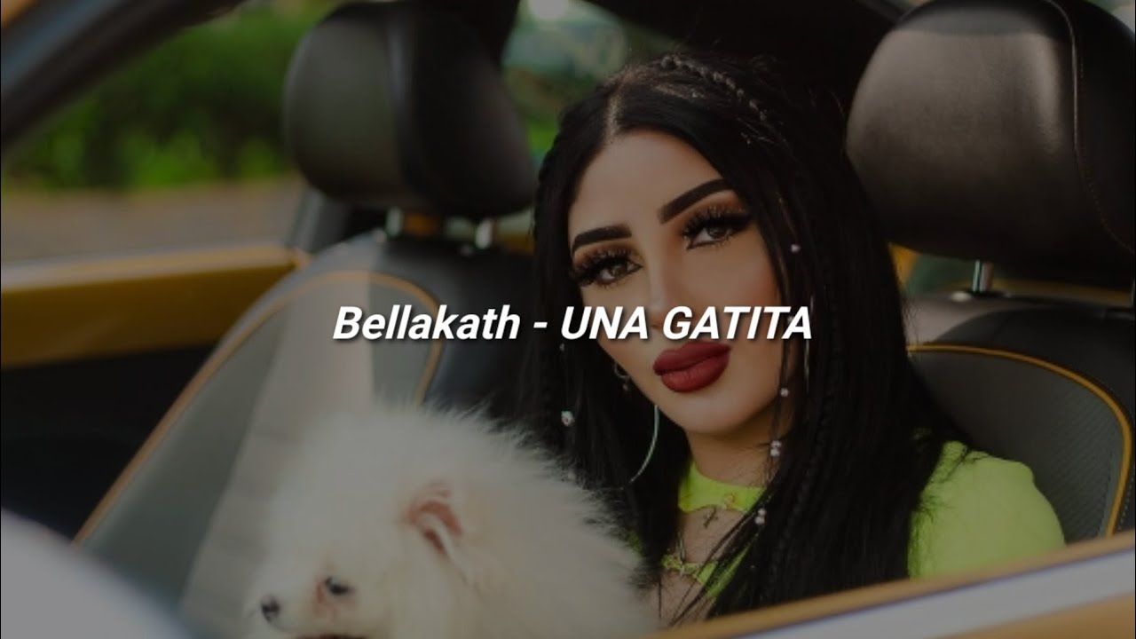 Una Gatita Que Le Gusta El Mambo 🔥 Letra Una Gatita Bellakath Chords Chordify