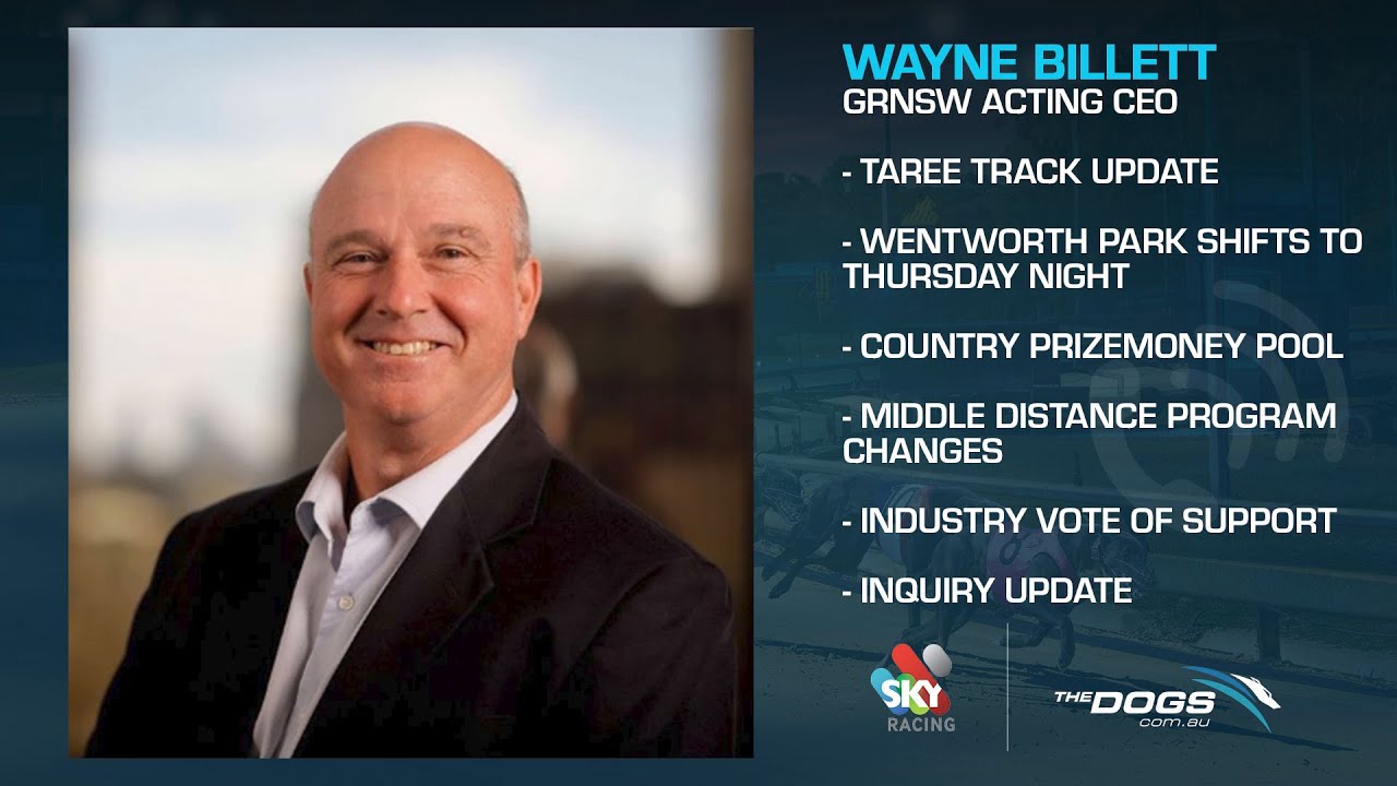 Acting GRNSW CEO Wayne Billett On Going Greyhounds - YouTube