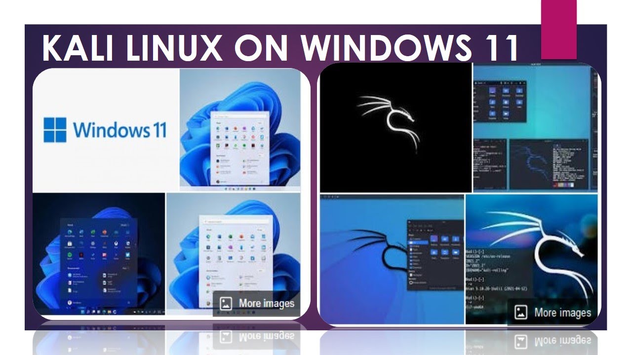 How to Install Kali Linux on VirtualBox in Windows 11 - YouTube how-to-install-kali-linux-on-virtualbox-in-windows-11-youtube
