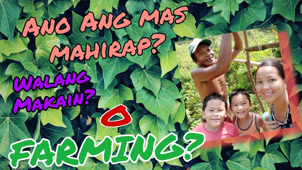 ROOT CROPS FARMING IN BOHOL | EDEN CCtv - YouTube