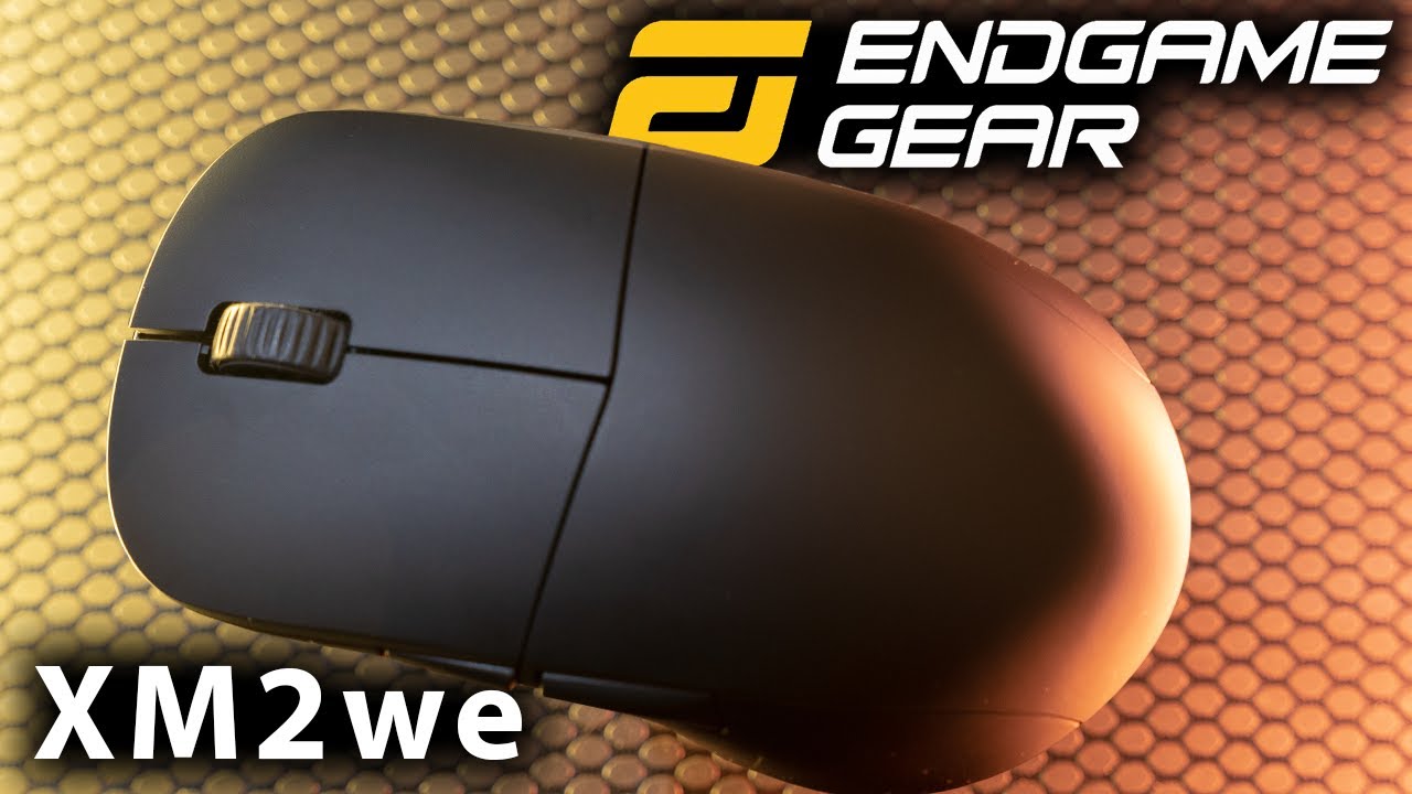 Beste Budget Mouse? - ENDGAME GEAR XM2we - YouTube