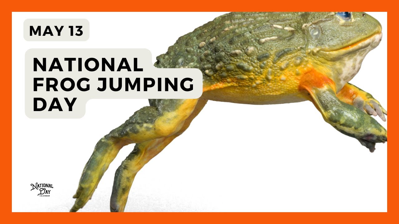 National Frog Jumping Day | May 13 - YouTube