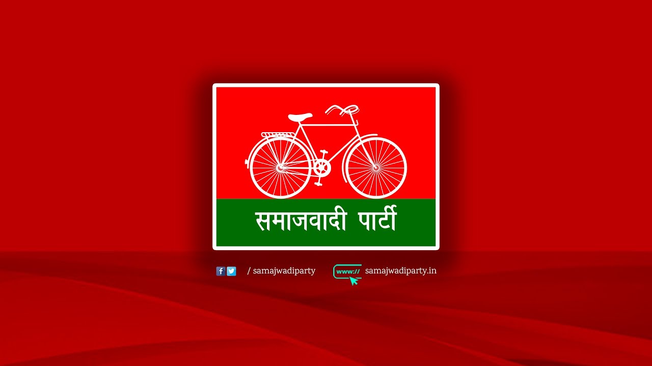Sapa Party Logo
