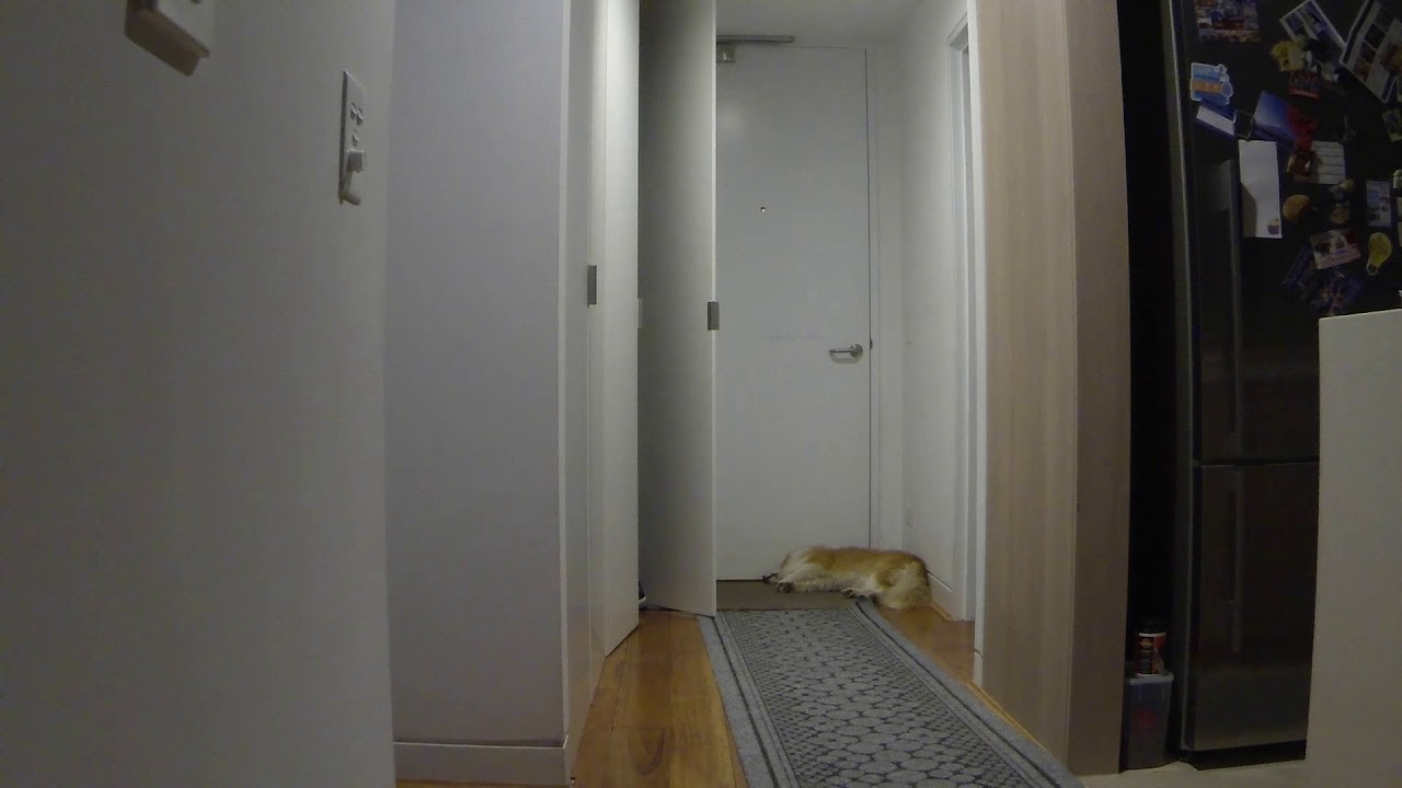 Patrick waiting at home for 6 hours! - YouTube