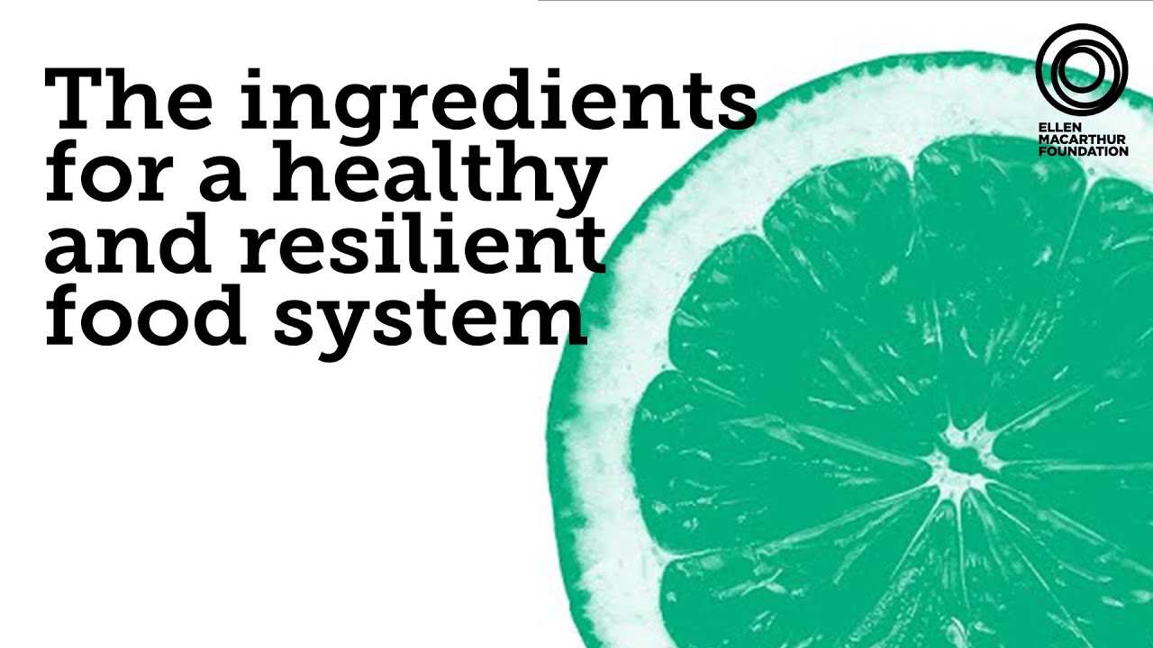 Creating a Healthy, Resilient Food System | The Circular Economy Show ...