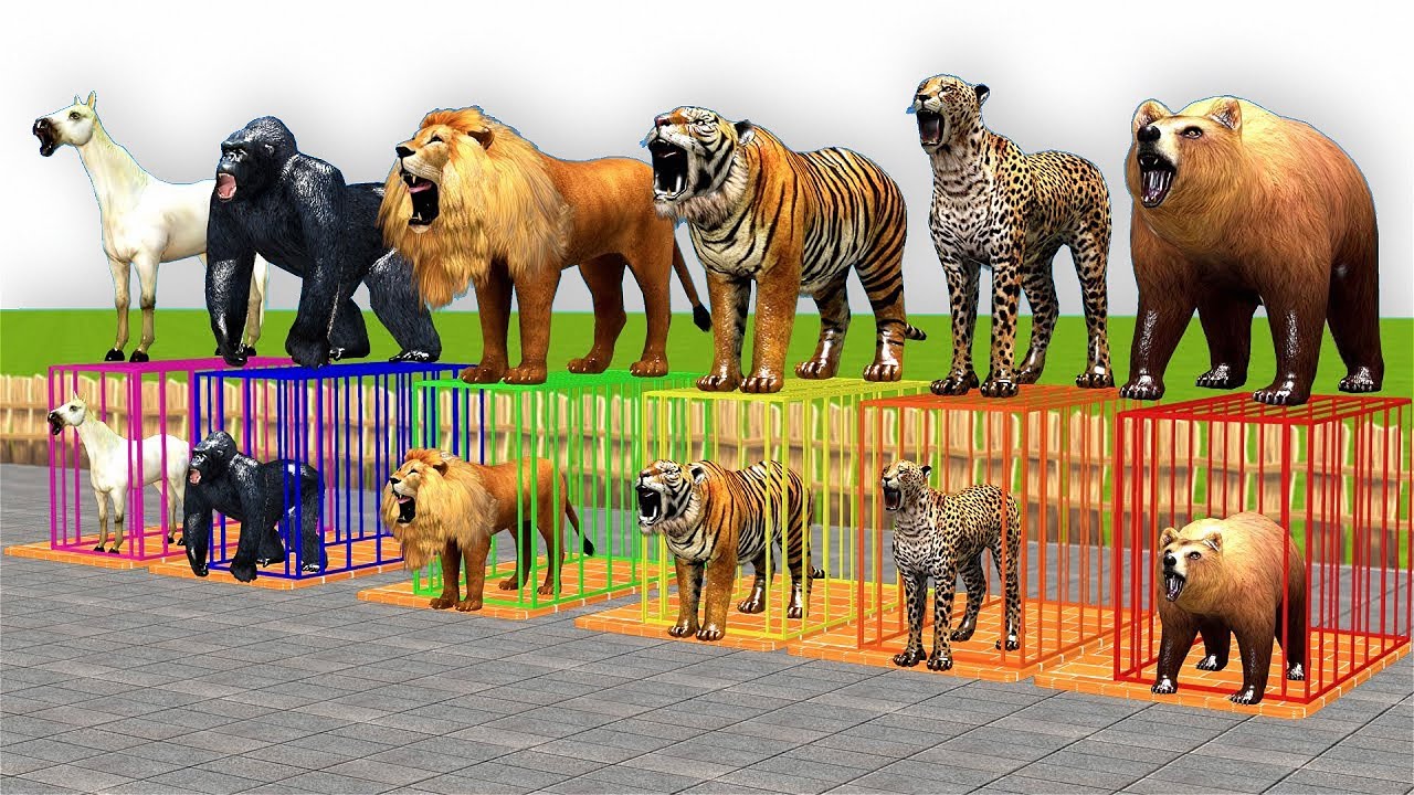 Wild Animal Games Choose The Right Iron Cage Eat Fruits Challenge With ...