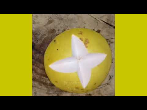 #*Best satisfying video that will relax your mind before sleep 😍Relaxing music*#