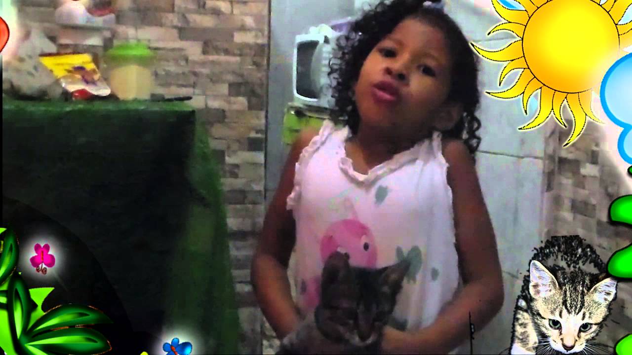 O gato de Duda - YouTube