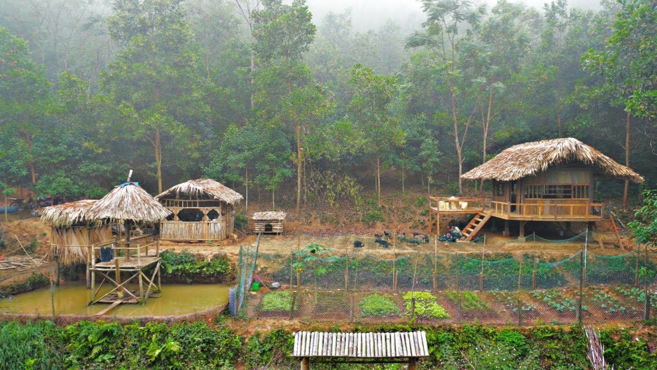TIMELAPSE: 3 Years of Building a Farm in the Forest, P1( The Begining ...
