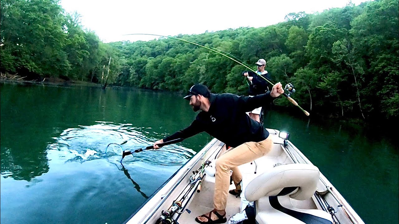 We Did NOT Expect To Catch This While TROUT FISHING!!! (Catch Clean ...