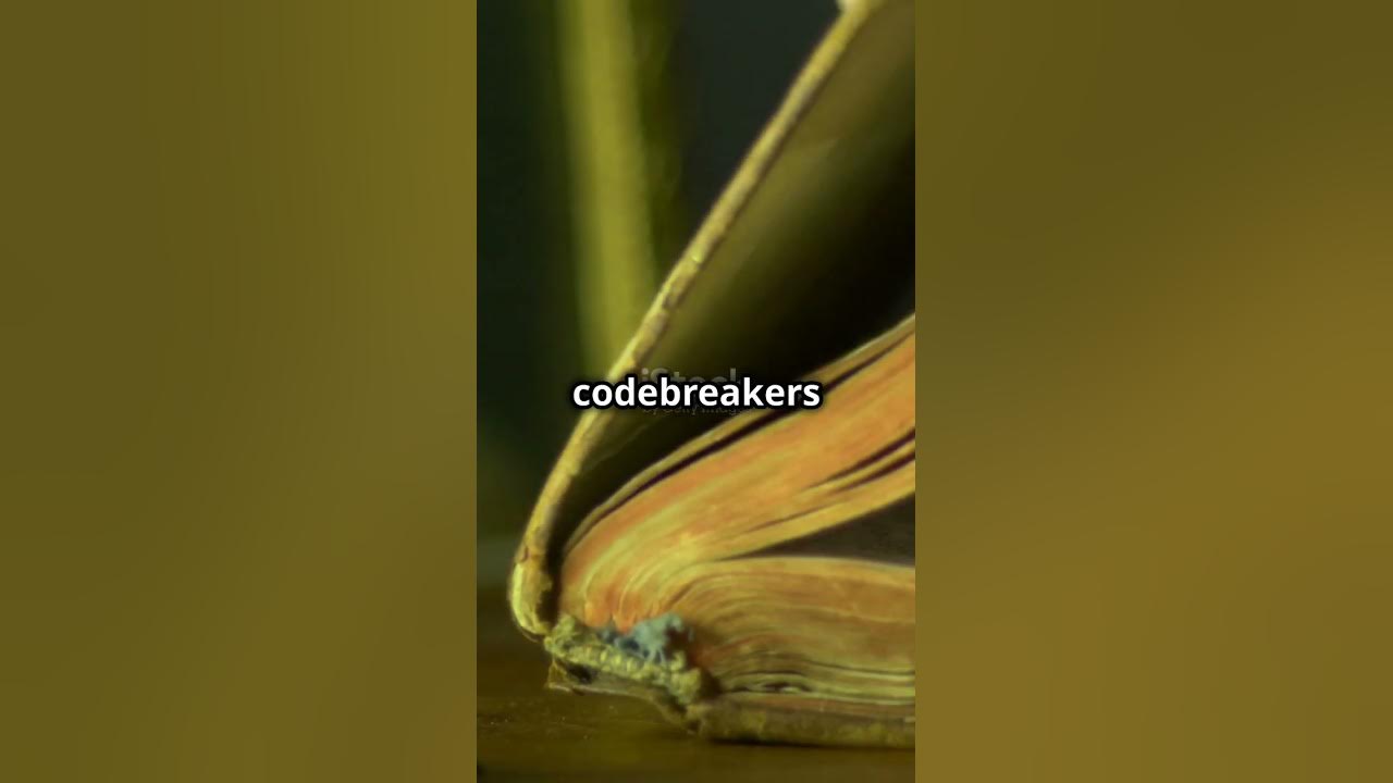 Unlocking the Mystery: The World's Most Mysterious Book - YouTube