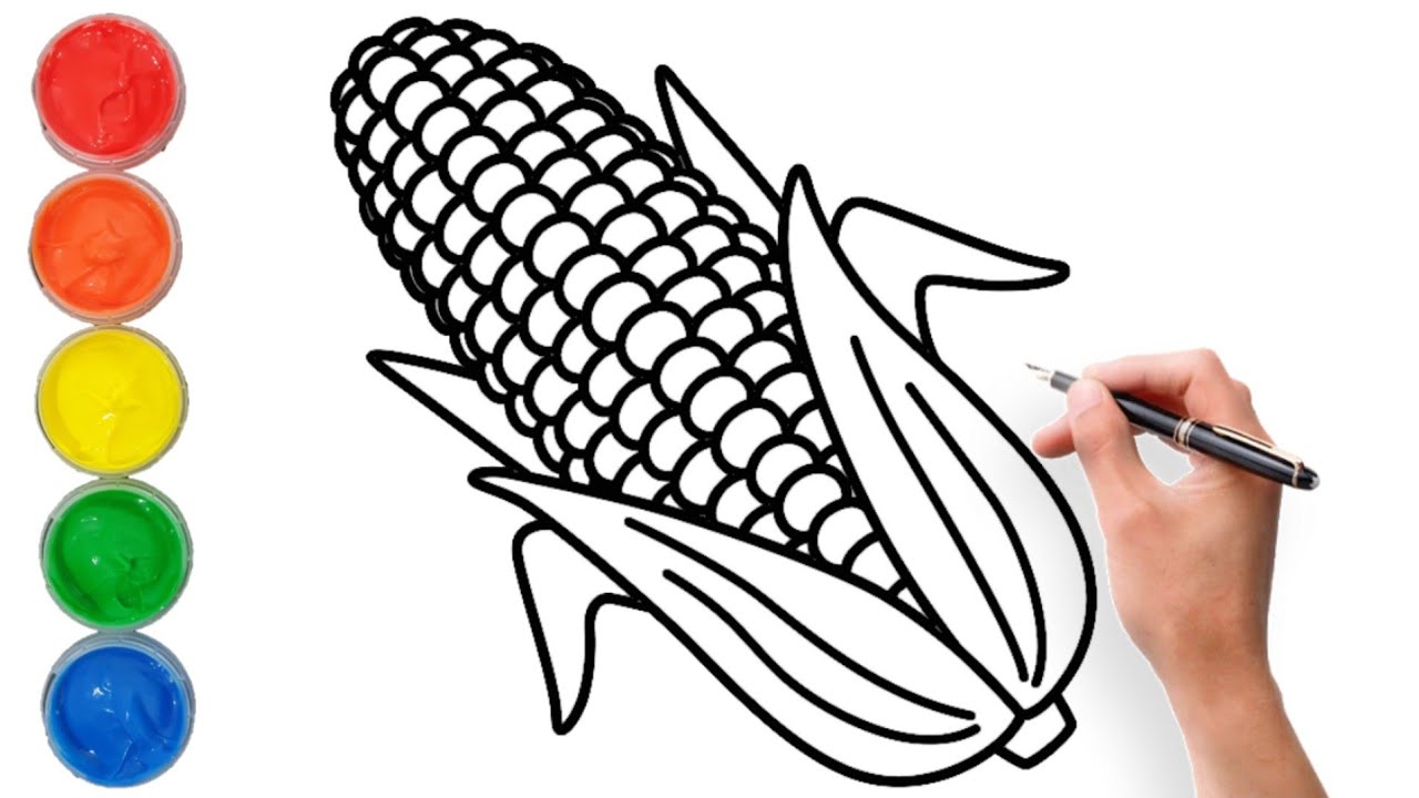 Corn Drawing For Kids