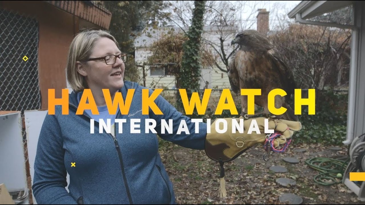 Utah Resourcefullness Award 2018 Nonprofit Recipient - HawkWatch ...