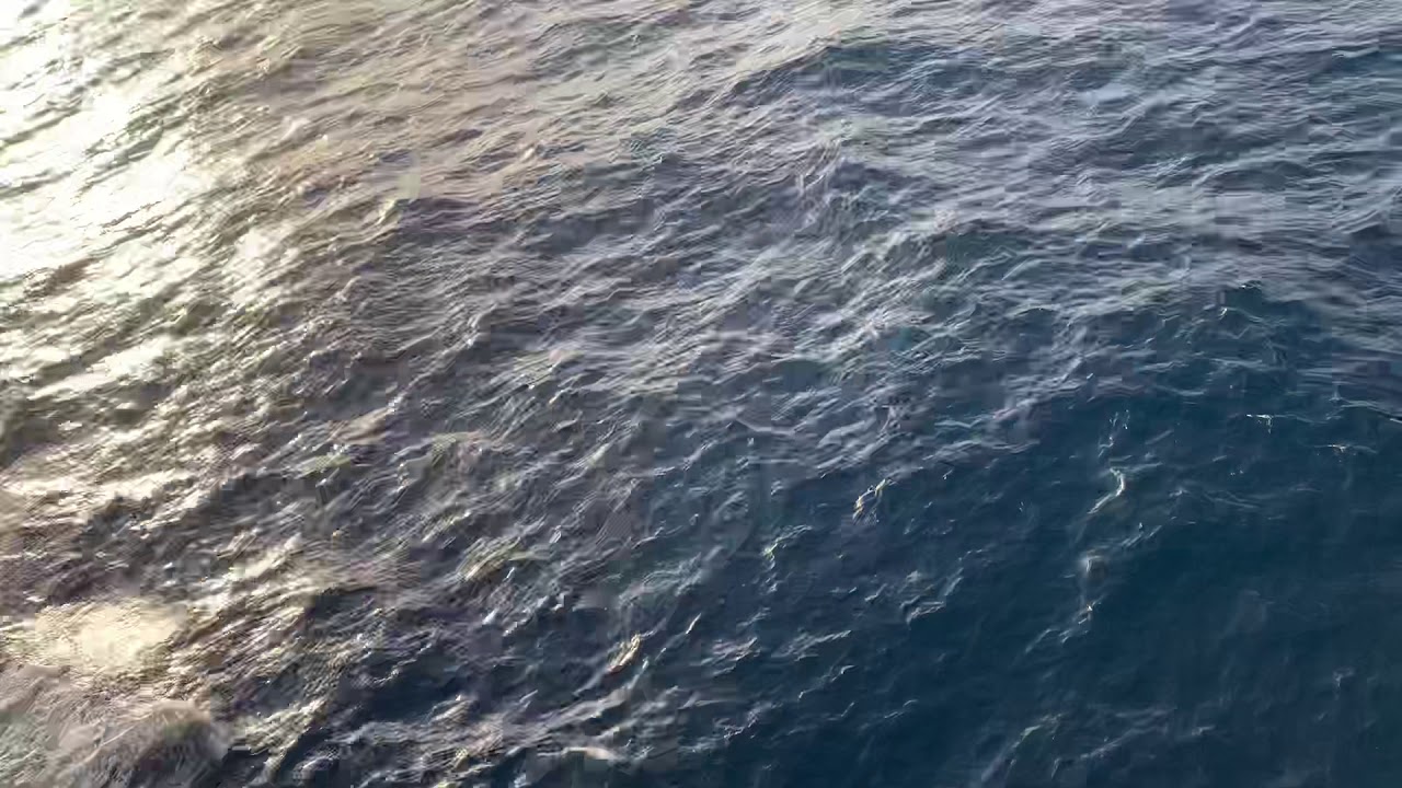 Cruise 2020 Ocean Shot - YouTube