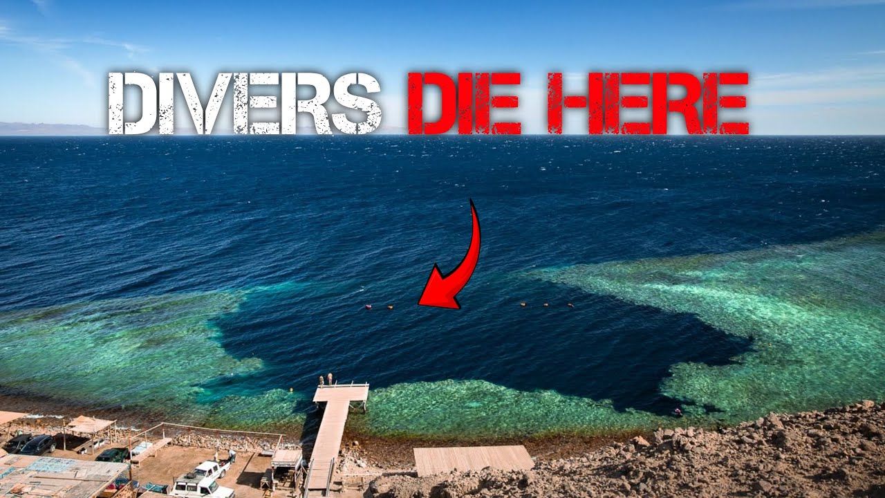 This is Where DIVERS Come to DIE! | Diving Gone Wrong - YouTube