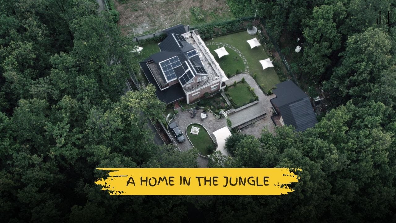 “A Home in the Jungle | Living in Nature’s Hidden Paradise” - YouTube