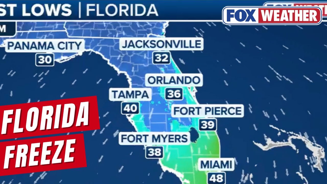 Rare Deep Freeze Underway In Florida As Intensifying Bitter Blast ...