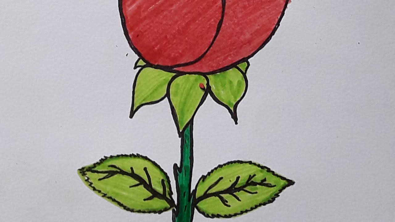 Easy Rose Flower Drawing | How to Draw Rose - Step by step - ART BY ...