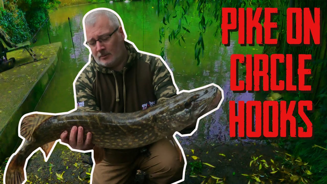 Pike fishing with Circle Hooks ! - YouTube