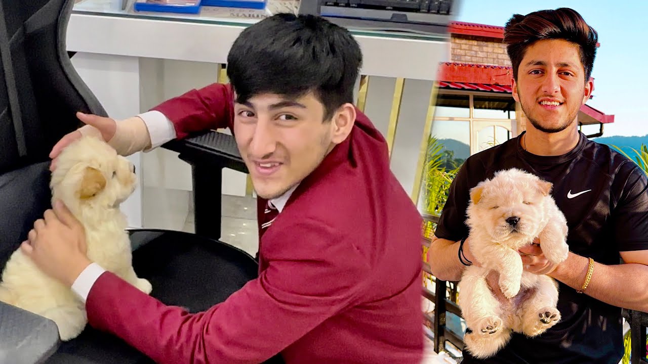 Finally New Family Member Sunny Ko Surprise Deya 😍 - YouTube