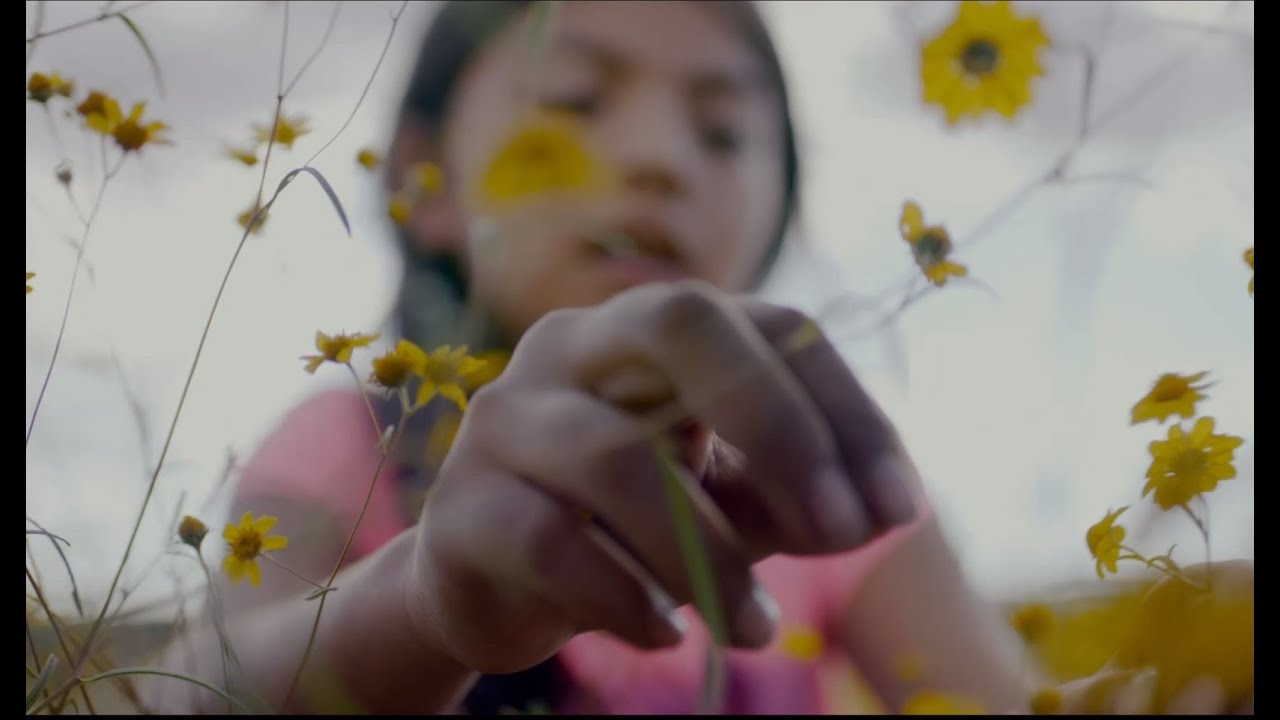 2020 Human Rights Watch Film Festival Trailer New York - YouTube