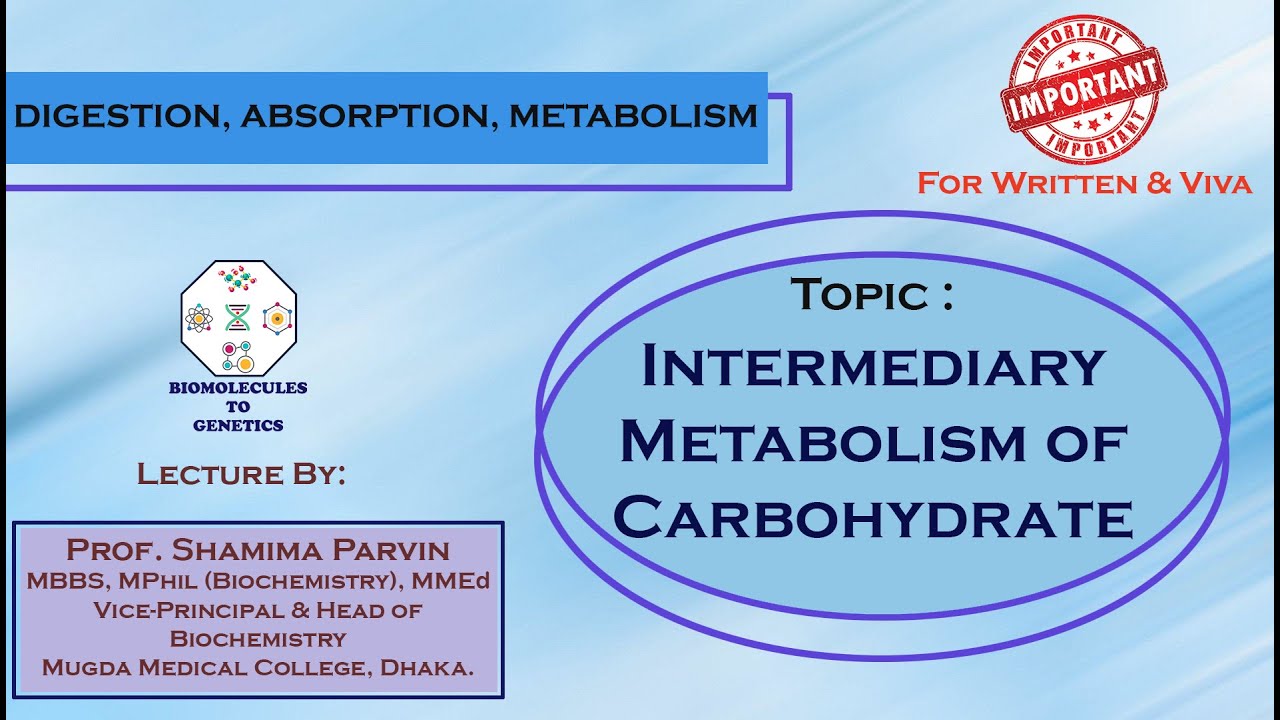 Intermediary Metabolism of Carbohydrate - YouTube