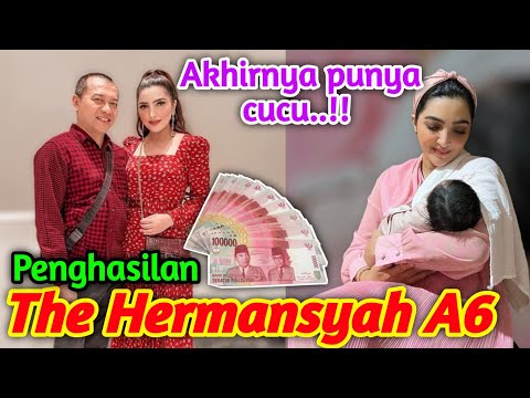 Akhirnya punya cucu!! Gaji The Hermansyah A6 Dari YouTube Berapa ya..