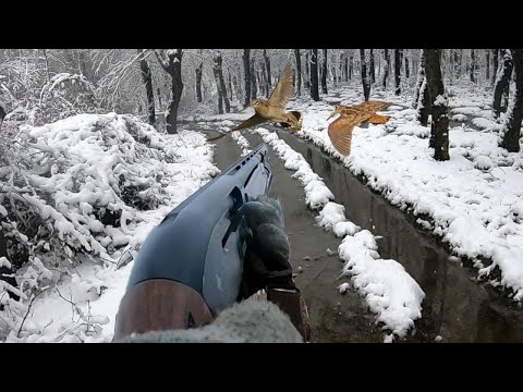 KARDA ÇULLUK AVI - LAPA LAPA KARDA KÖPEKSİZ ÇULLUK AVI - WOODCOCK HUNTİNG