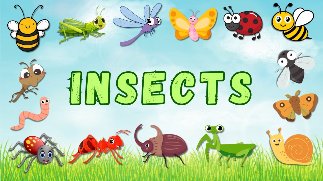 🐞INSECT NAMES for Kids🪰 | Spelling🐝 | English Vocabulary 🐜#preschool # ...