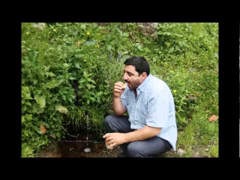 TOVUZ-QANDALLAR- CƏNNƏTƏ BƏNZƏR