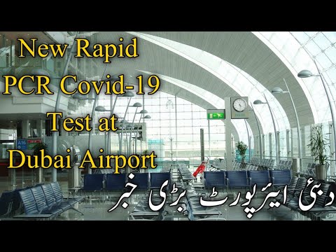 UAE News |Dubai News|PCR Test at Dubai Airpor for travellers|gulf ...