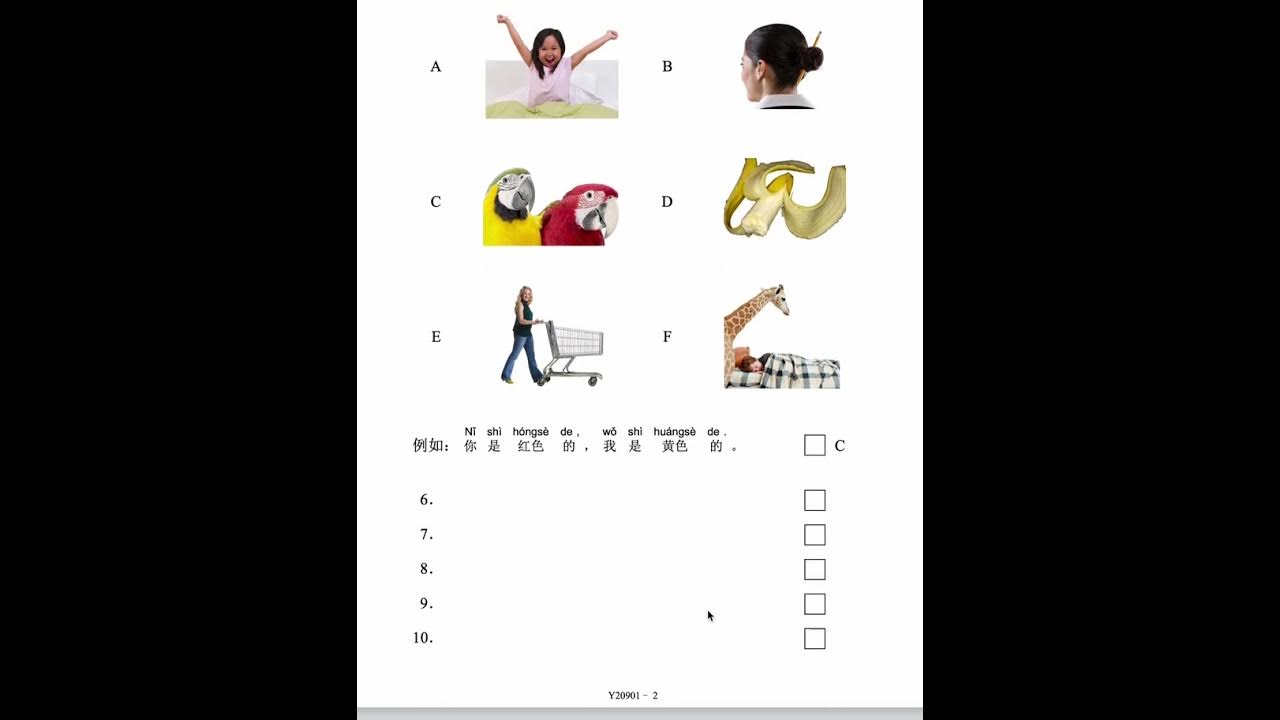 Understanding the YCT 2 Test Papers - YouTube