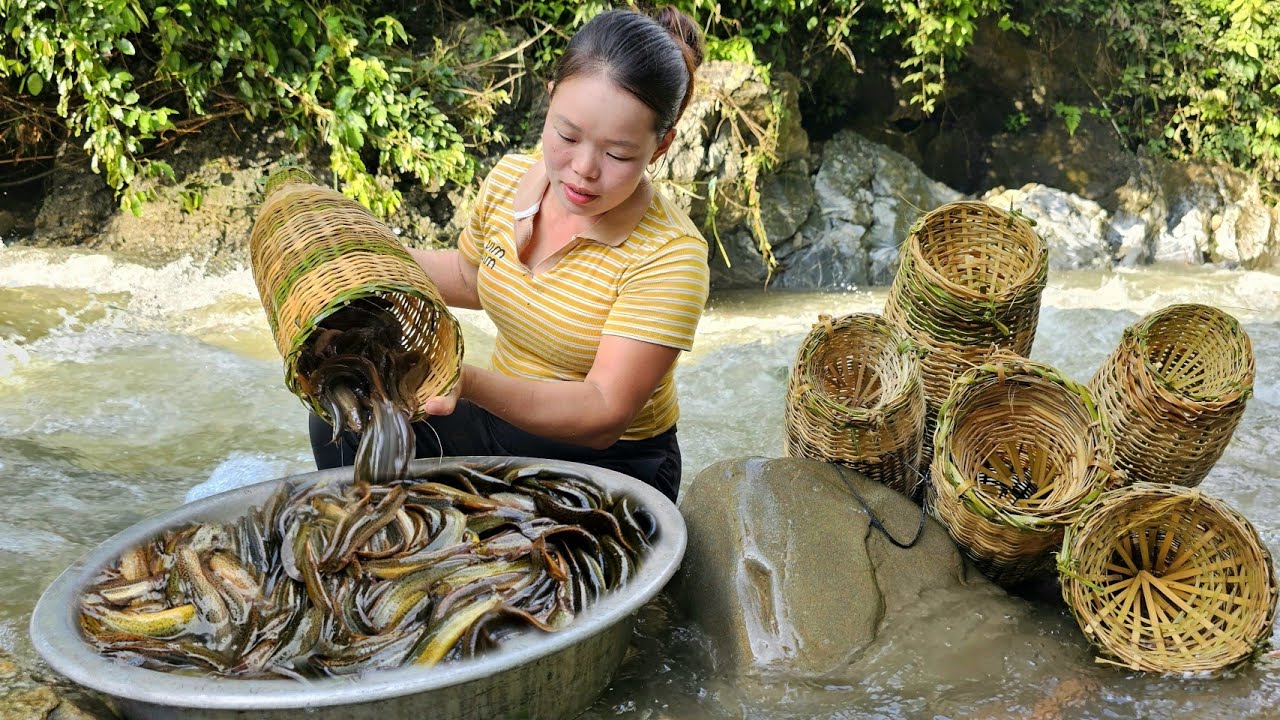 How to weave Bamboo baskets to catch Fish, Make colorful sticky rice ...