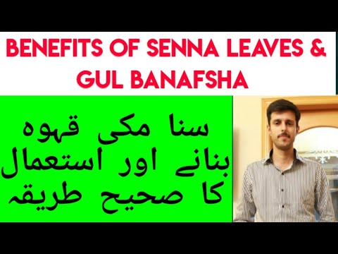 How to Make Senna Leaves Kehwa | Sana Makki & Gul Banafsha Benefits ...