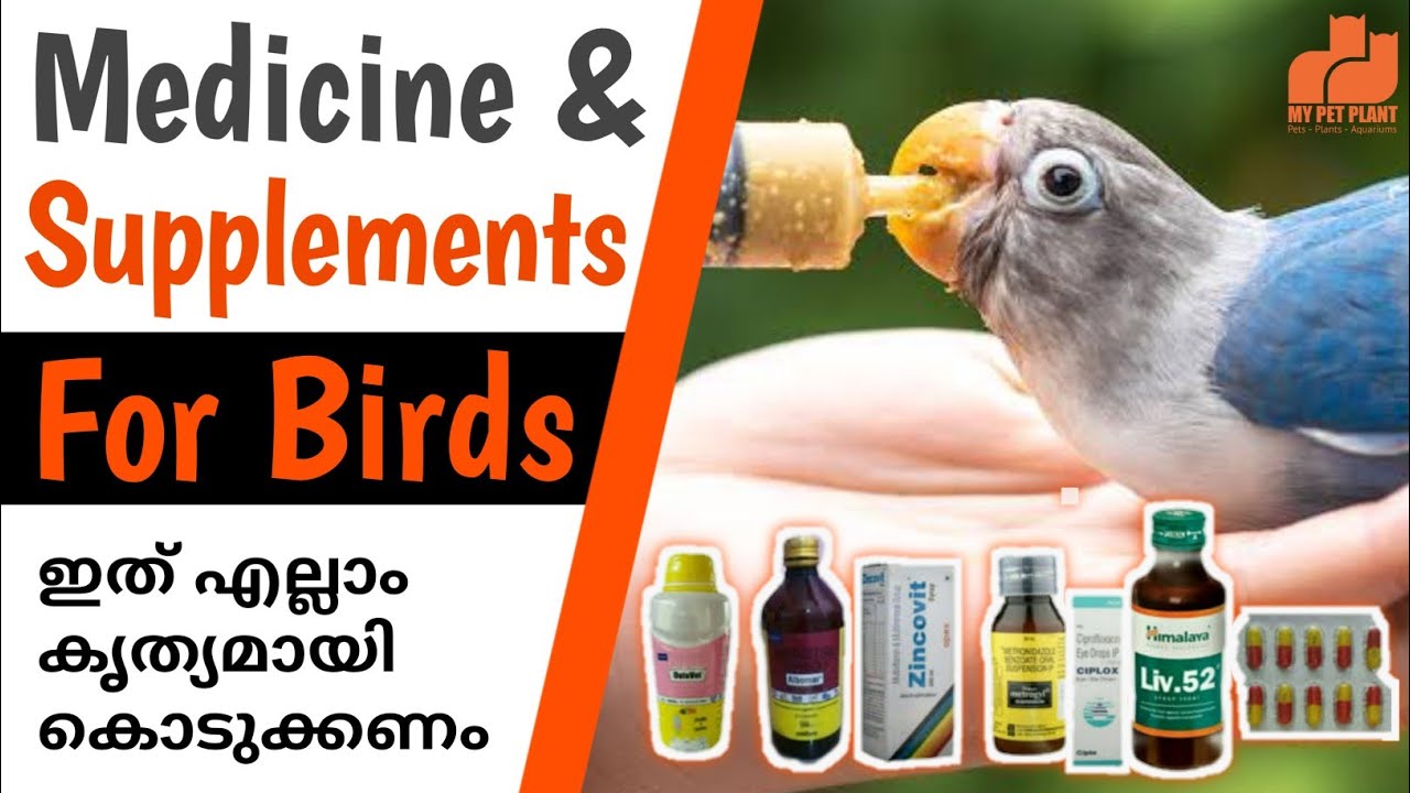 Birds Medicine & Supplements | Birds Breeding Vitamins & Antibiotics ...