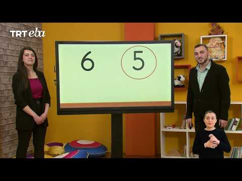 İlkokul Özel Eğitim Matematik | Sayılar Arasındakİ Büyüklük İlişkisi