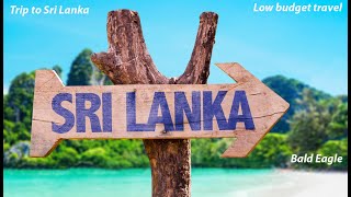 US Sri Lanka Street Food Colombo S Best Street Food Guide Crazy Fish ...