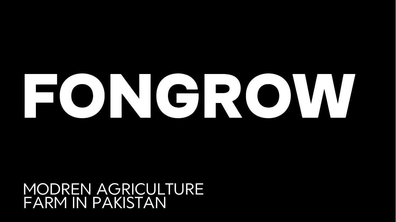 FONGROW CORPORATE FARM IN PAKISTAN. |FONGROW PAKISTAN | ALFALFA CROP ...